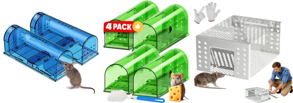 Top 5 Live Mouse Traps: Best humane catch guide.