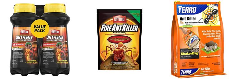 Top 5 Red Ant Killer Reviews: Your Best Choice